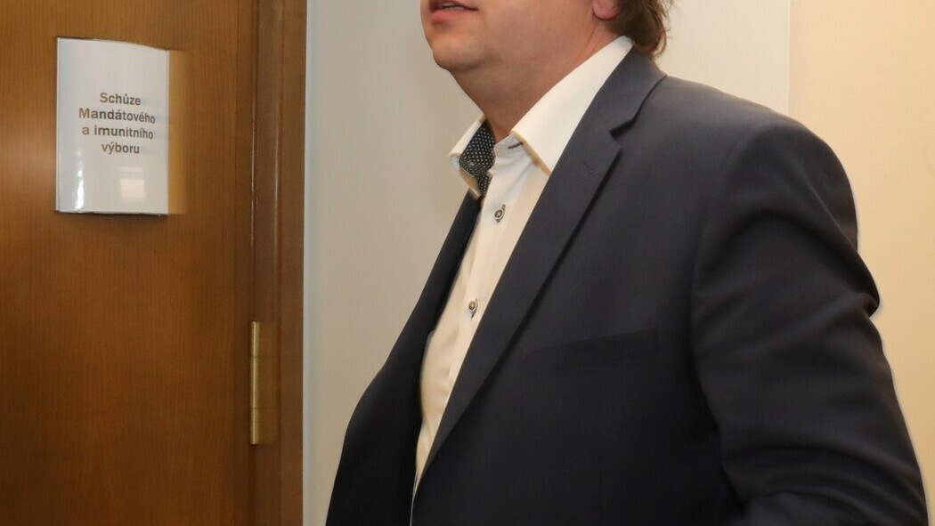 INFO.CZ | Exmanažer Argemy, který nechtěl „zabrušovat“. Národní ...