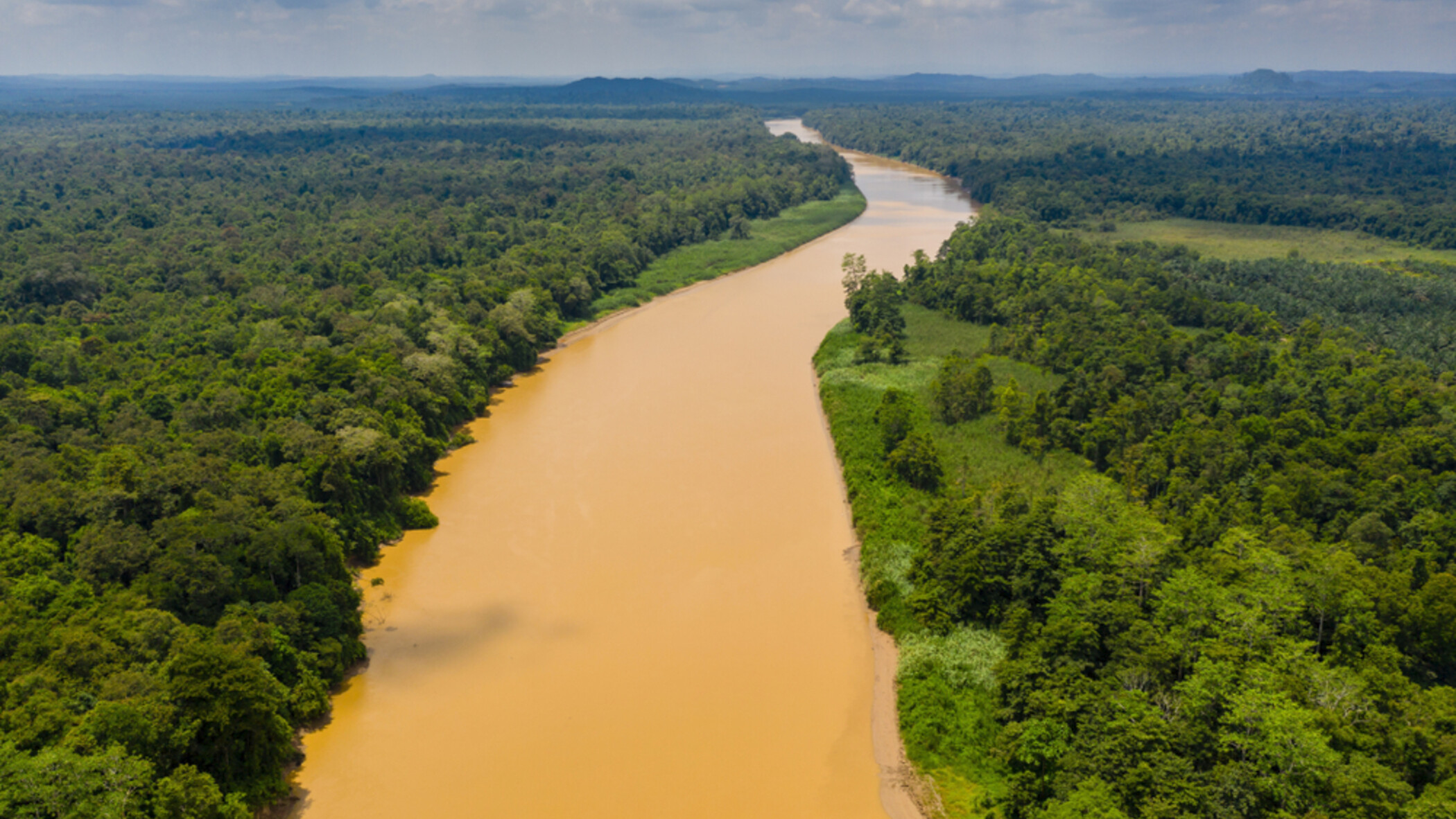 INFO.CZ | Amazonský prales mizí za Bolsonara raketovým tempem. Těžaře ...