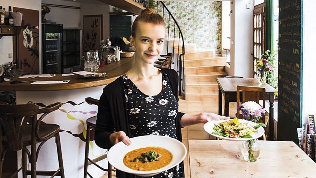 INFO.CZ | Lidl zavádí vlastní stravenky. Platit budou i v restauracích