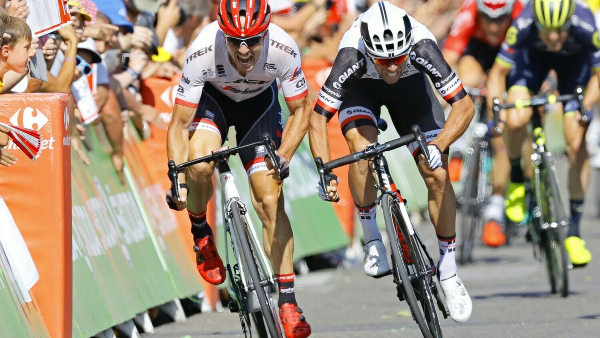 INFO.CZ | Odvrácená strana Tour de France: Tak vypadají nohy cyklisty ...