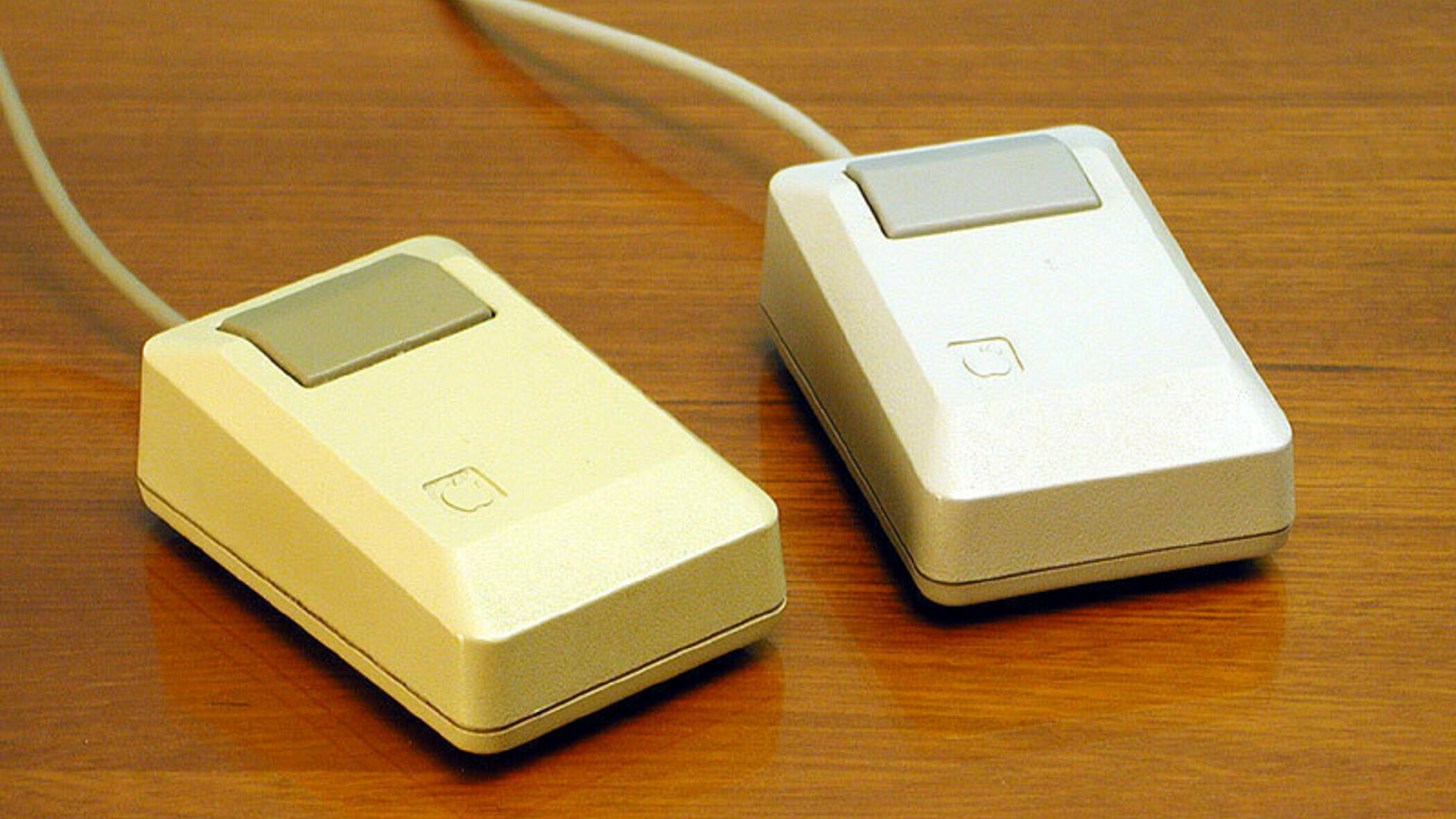 INFO.CZ | První počítačová myš byla ze dřeva. Dnes tento vynález slaví ...