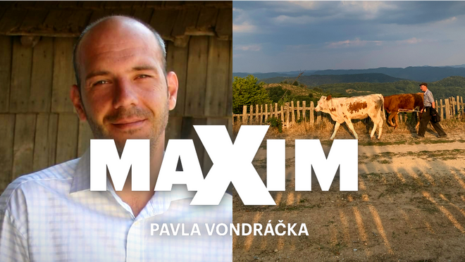 INFO.CZ | Maxim Pavla Vondráčka