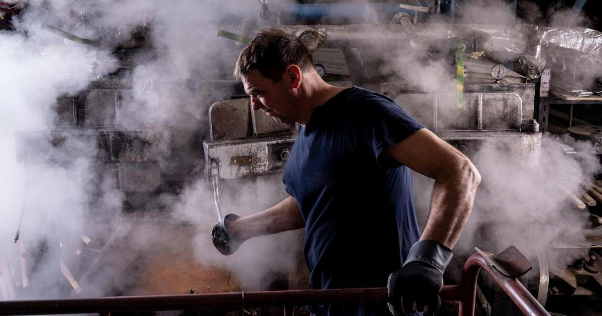 INFO.CZ | Šéf TONu Dostalík: Ohýbáme staleté stromy. Je v tom síla ...